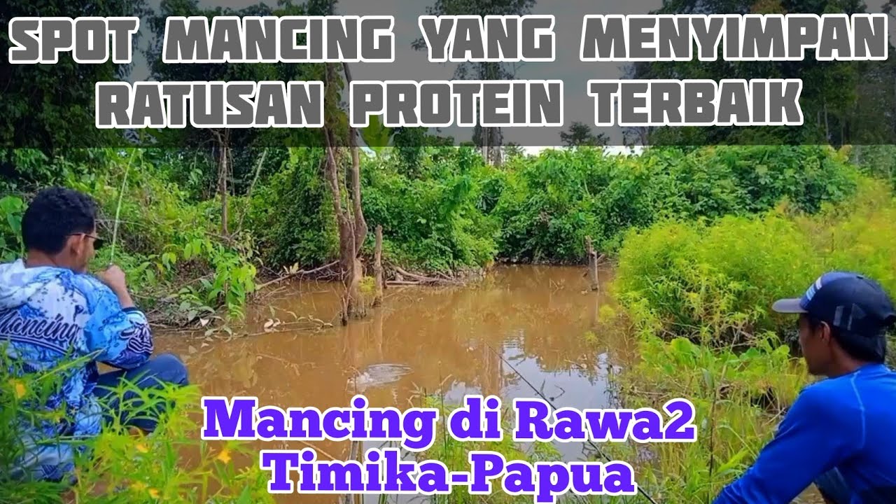 Spot Rawa2,Irigasi ujung||Timika Papua,#mancingmania #mancingrawa #mancingliar - YouTube