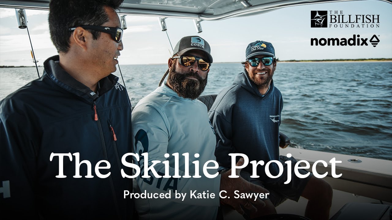 The Skillie Project - YouTube
