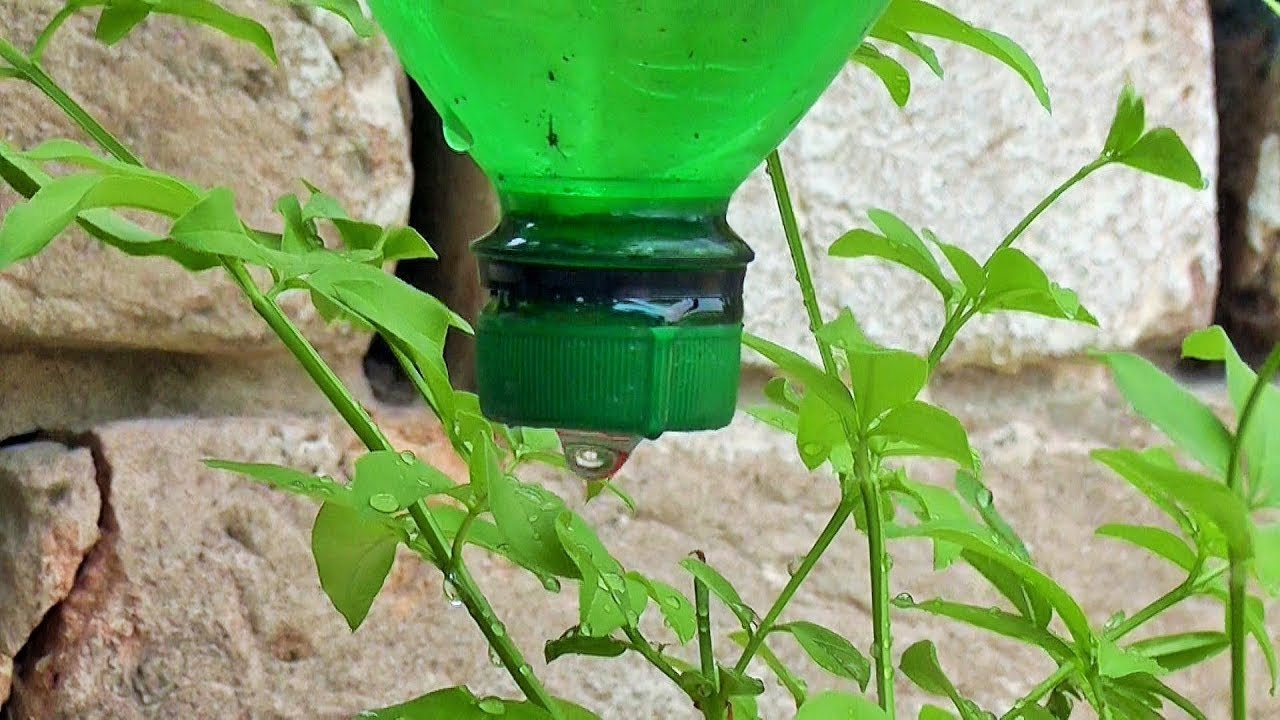 Plastic Bottle Drip Water Irrigation System Very Simple My XXX Hot Girl plastic-bottle-drip-water-irrigation-system-very-simple-my-xxx-hot-girl