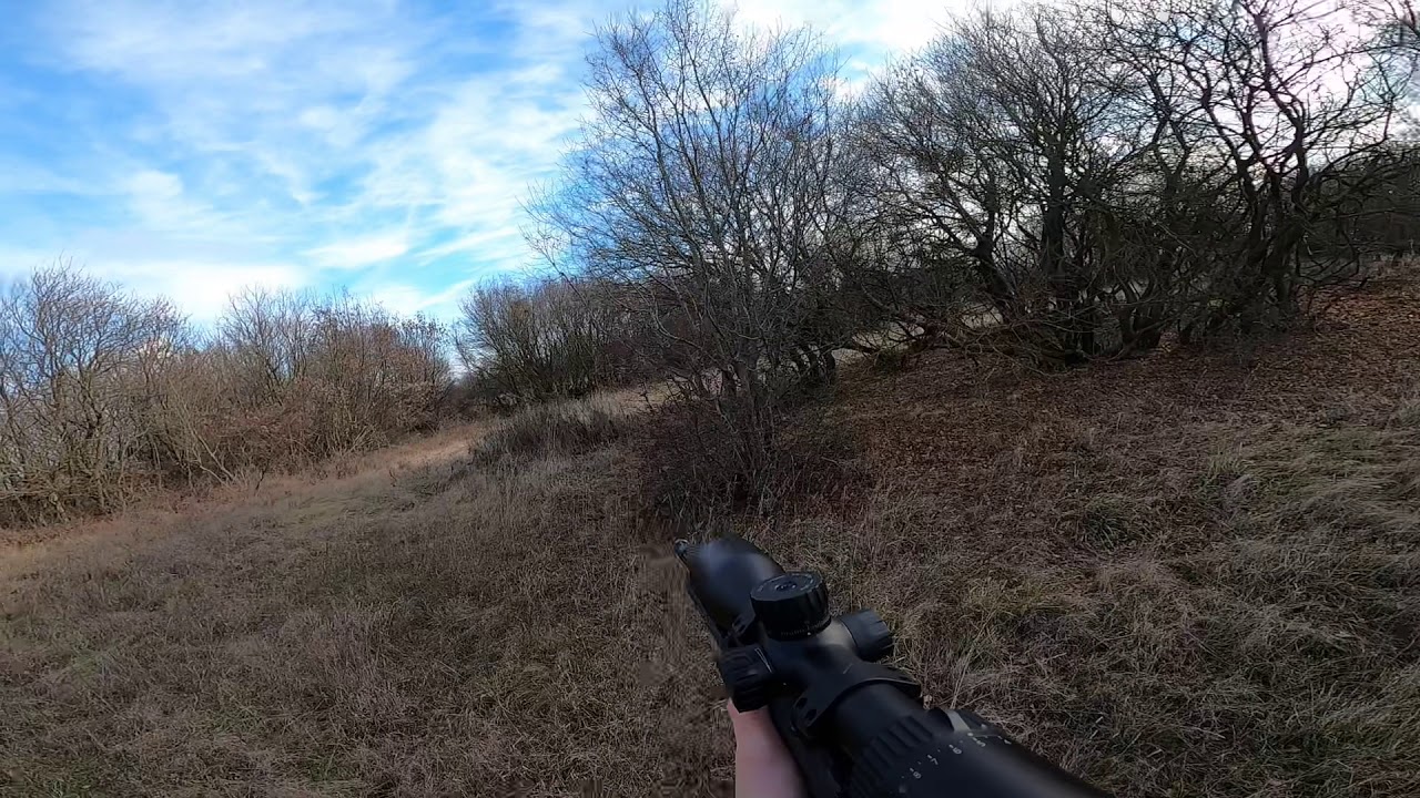 Wild Boar Driven Hunting in Bulgaria - YouTube