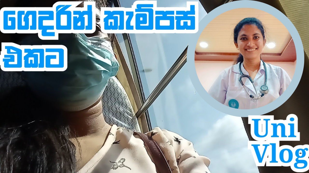 Travel from home to hostel after a small vacation | moving back to ...