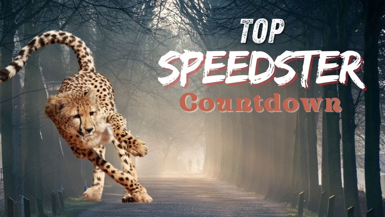Top 5 Fastest Animals On This Planet! - YouTube