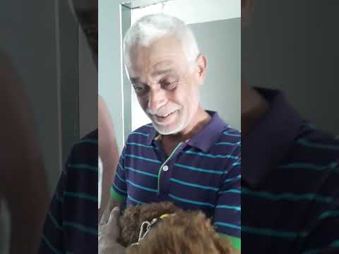 İzmir dayı arsa bahçe ayrıntılı video