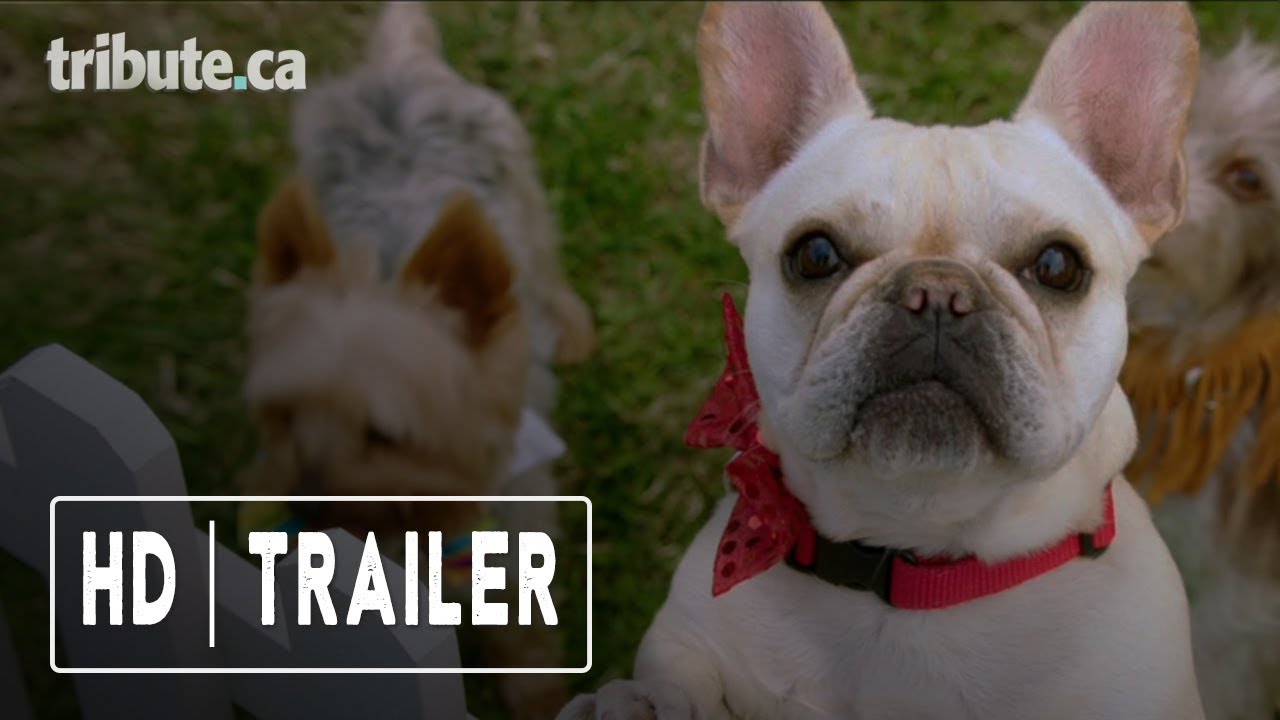 Dog Days - Trailer - YouTube