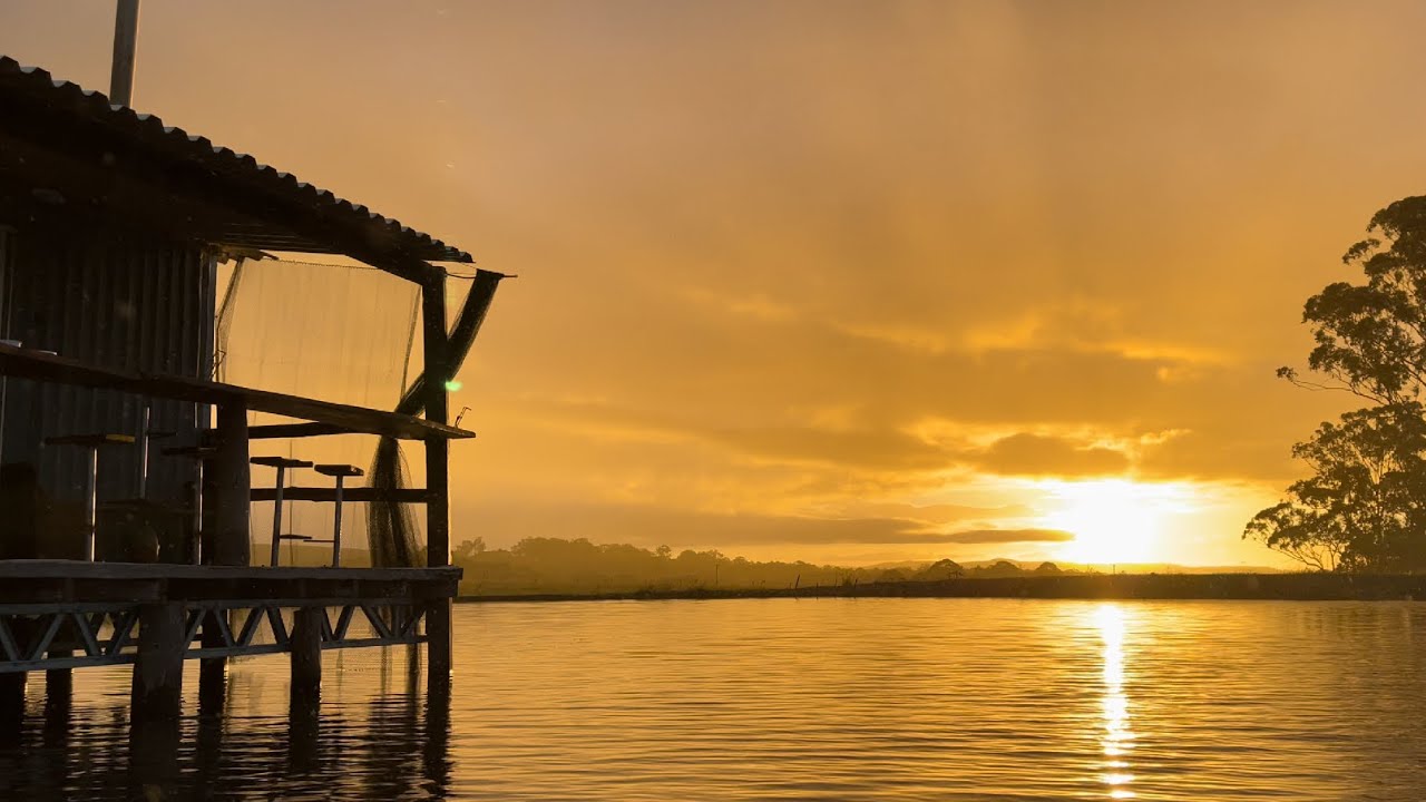 Little Nikki Long Cod - YouTube