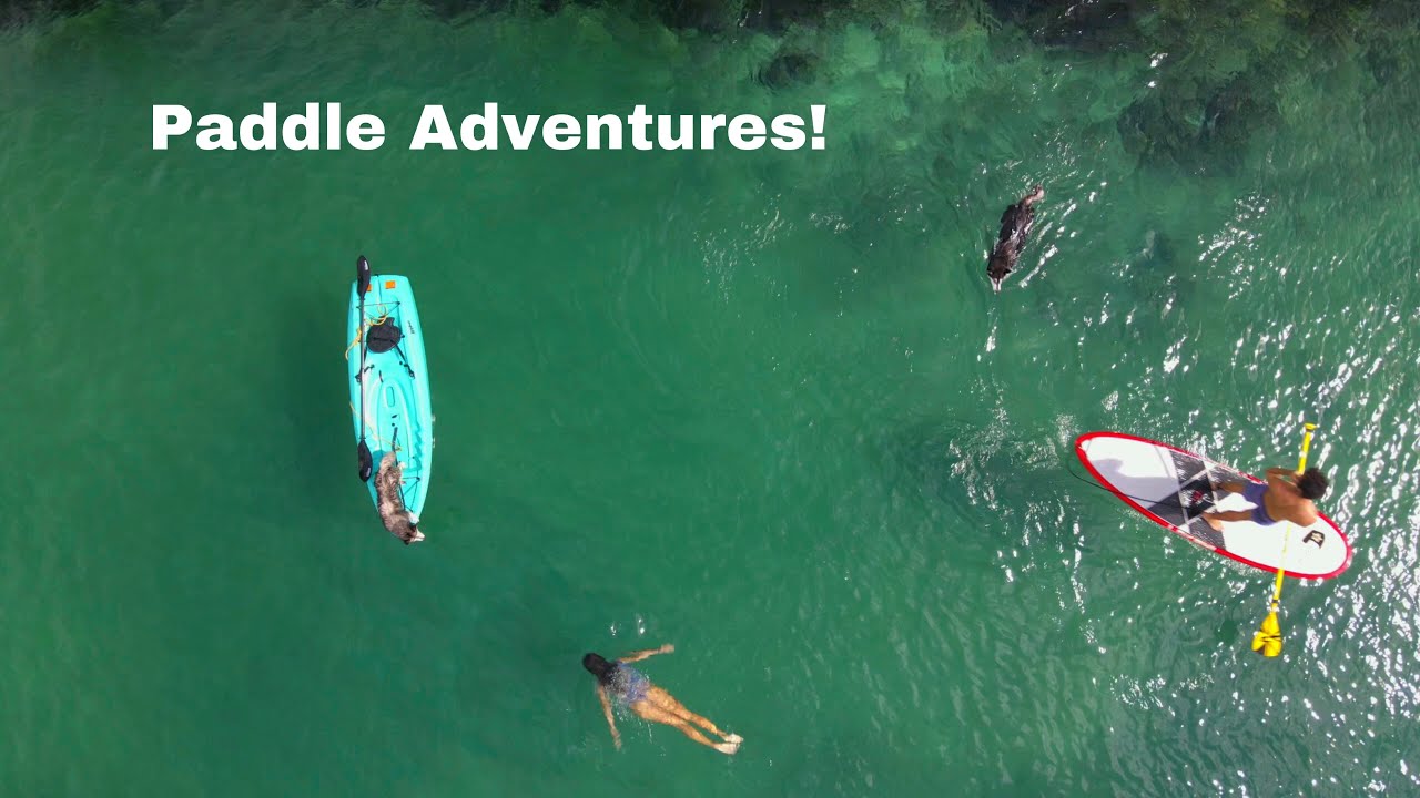 Paddle adventures. Puerto Aventuras Edition. 4k - YouTube