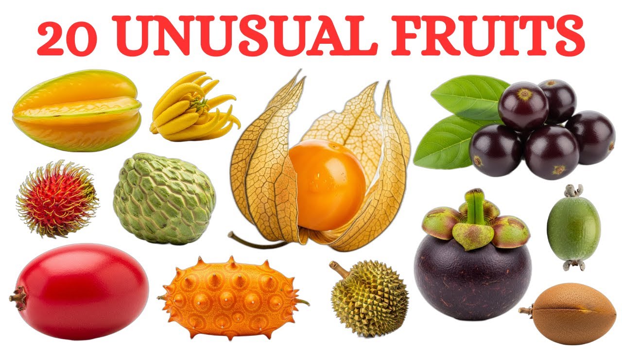 Unusual Fruits Name | Exotic Fruits in English | Rare Fruits List ...