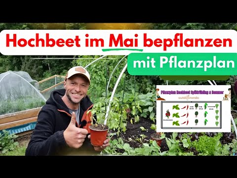 Hochbeet im Mai bepflanzen: Diese Gemüse & Kräuter sorgen für eine reiche Ernte! 🌿🥕 (mit Pflanzplan)