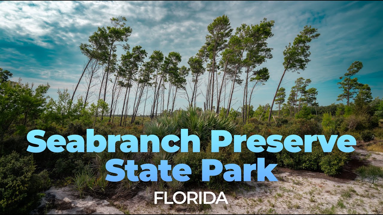Sunset Hike Through Seabranch Preserve State Park - YouTube