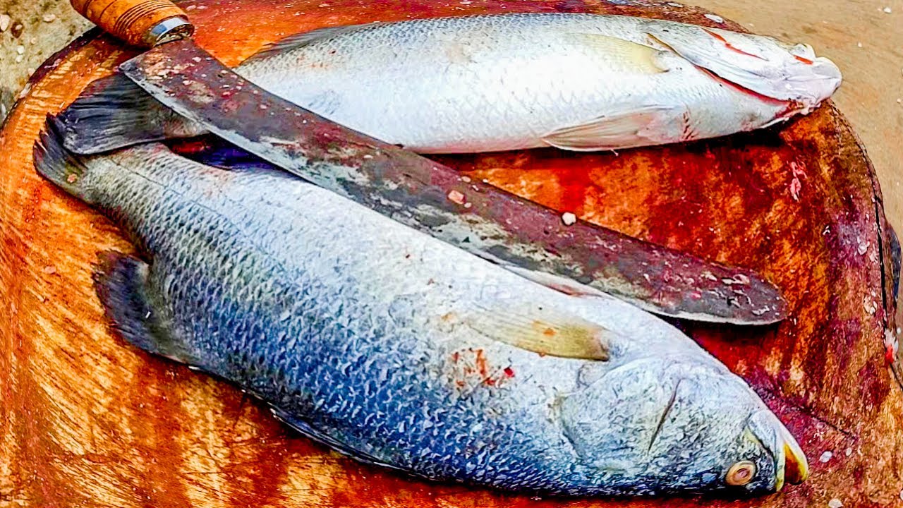 Wow!! Fastest Idyllic Village Barramundi Fish Cutting In Biggest Street ...