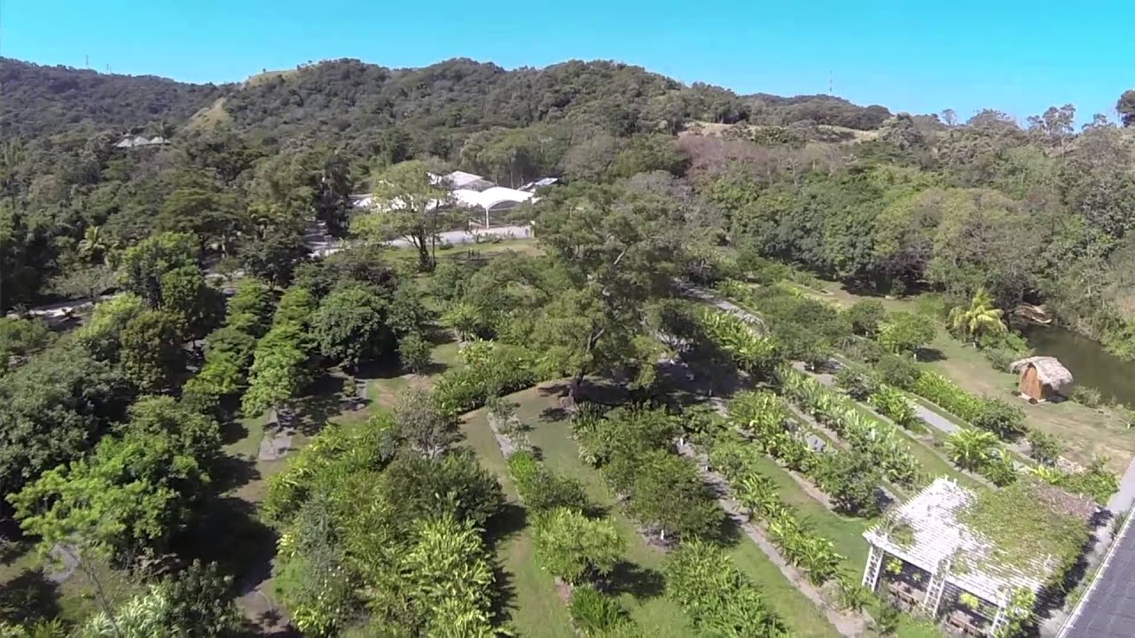 Roatan Cruiseship Tours - Blue Harbor Tropical Arboretum - YouTube