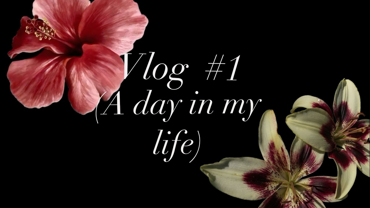 rot girl summer??? (Vlog #1) - YouTube