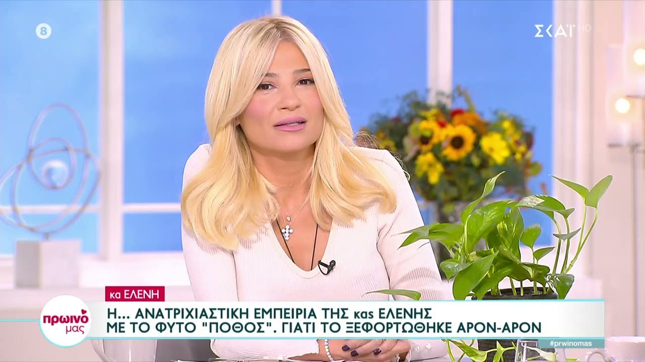 Η ανατριχιαστική εμπειρία της κυρίας Ελένης με το φυτό "Πόθος" | Πρωινό ...