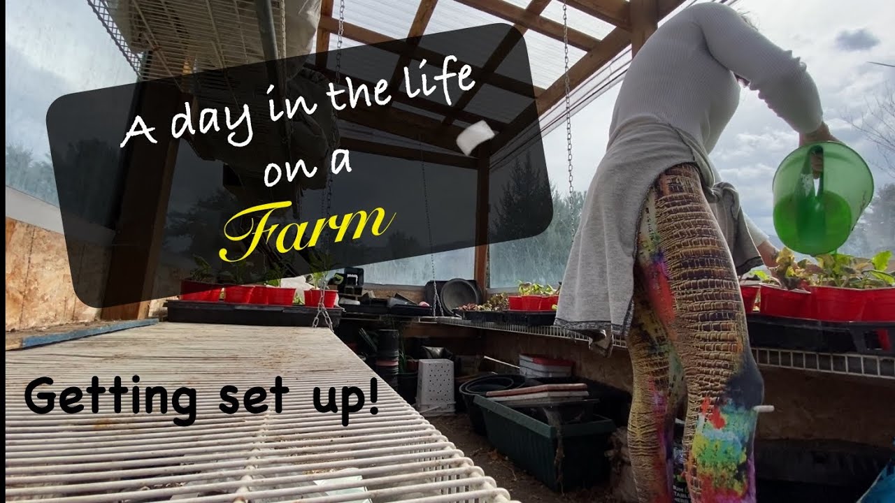 Getting set up on the farm - YouTube