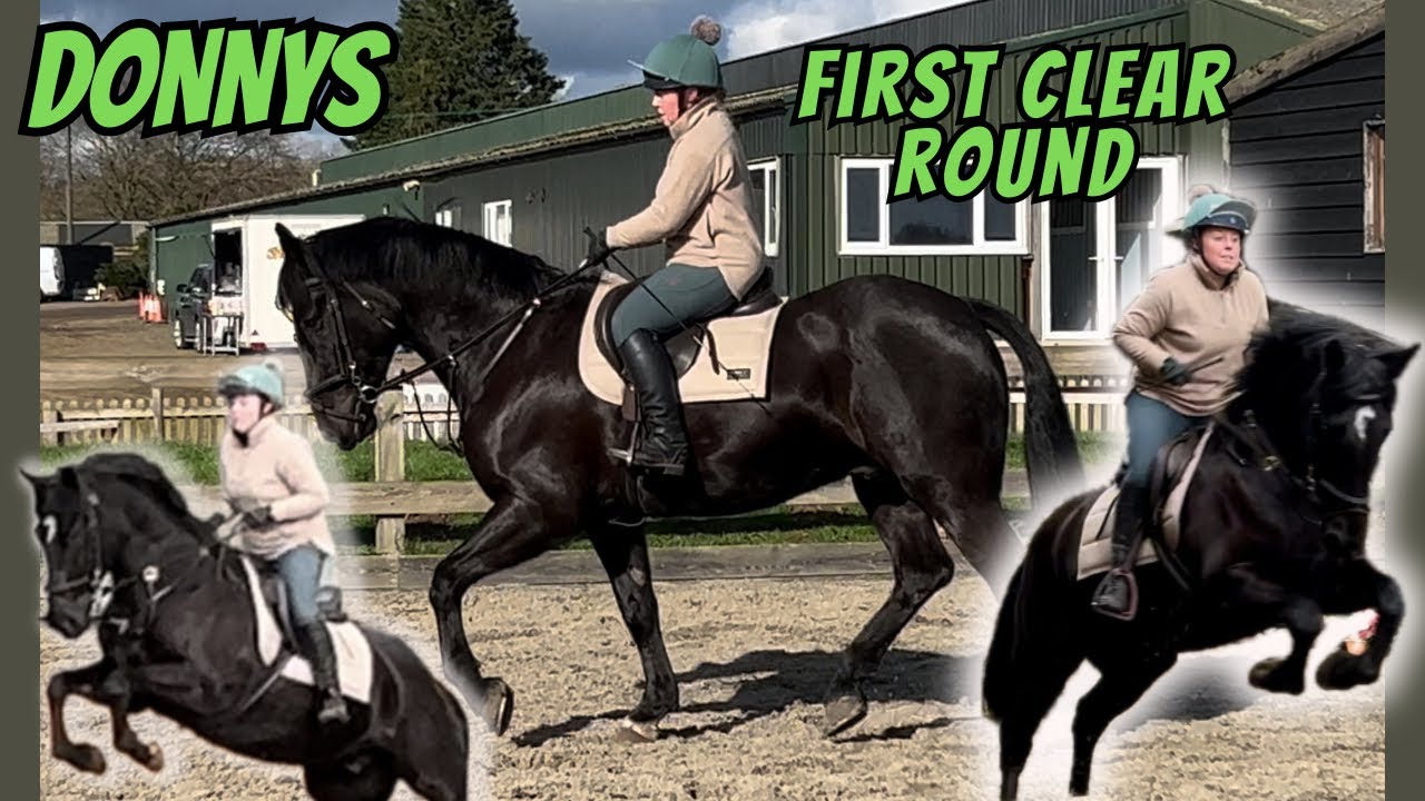YOUNG HORSES FIRST CLEAR ROUND WORKING HUNTER SHOW ☘️ - YouTube