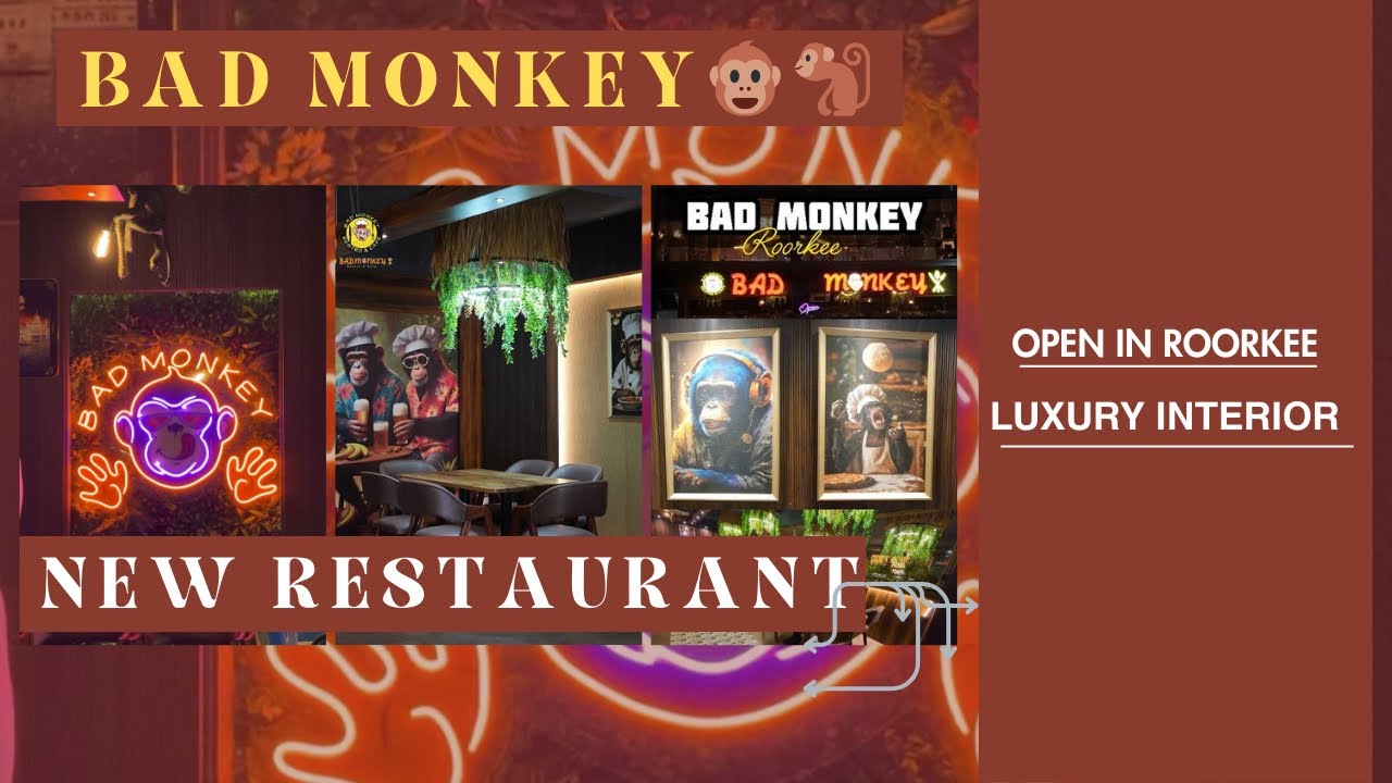 NEW RESTAURANT IN ROORKEE | BAD MONKEY RESTRO - YouTube