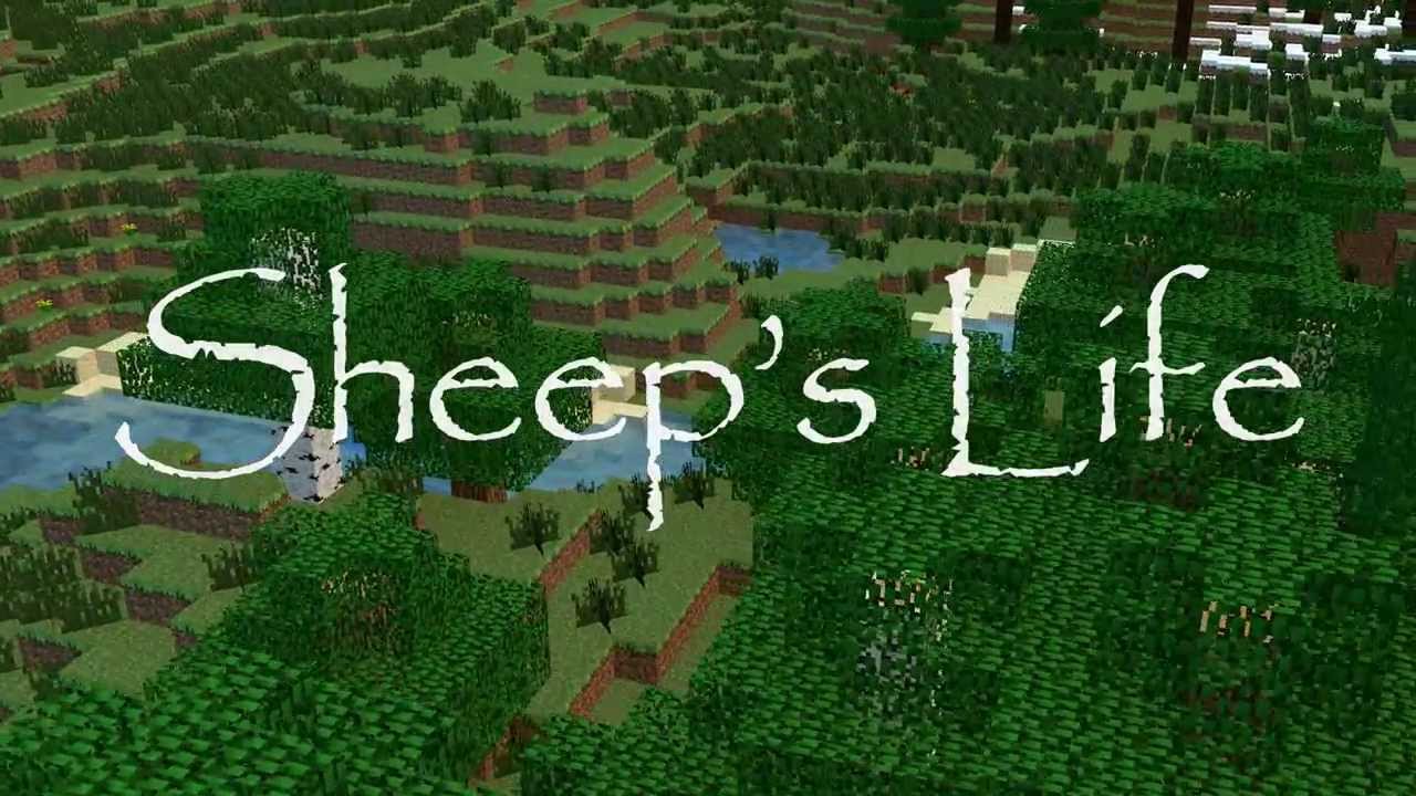 Sheep's Life (Minecraft Animation) - YouTube