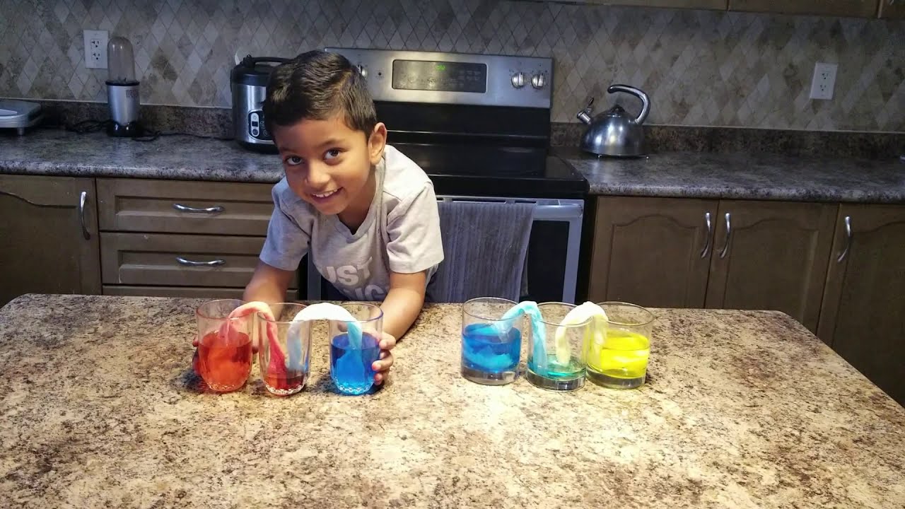 Capillary action with walking water colors | Kids science experiment ...