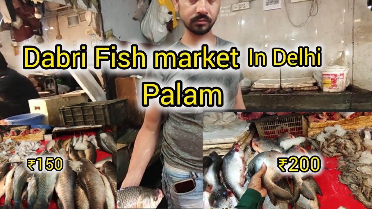 dabri palam Fish 🐠 market - YouTube