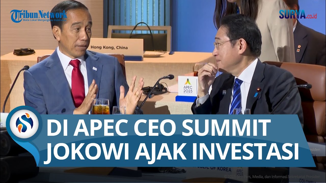 Di APEC CEO Summit, Jokowi: Berinvestasi di Indonesia Pilihan Tepat ...