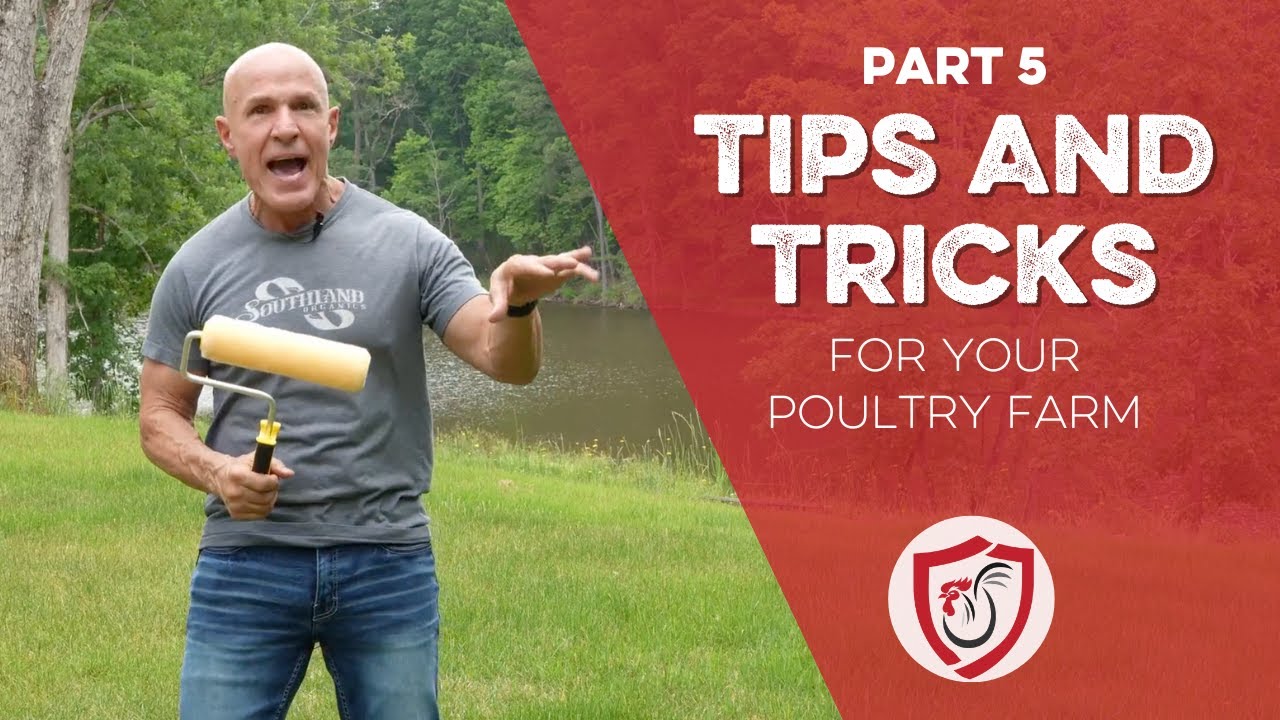 Tips & Tricks For Poultry Farmers: Part 5 - YouTube