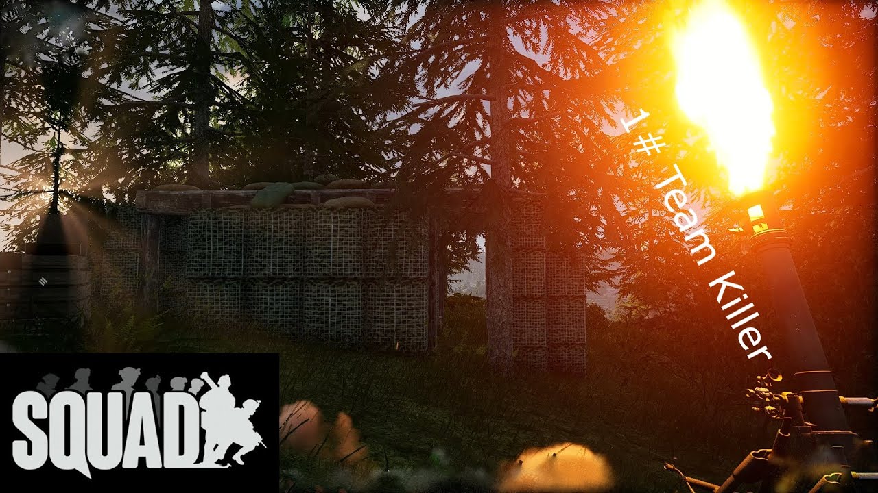 Squad: Firing Mortars at the enemy and occasionally killing Team ...