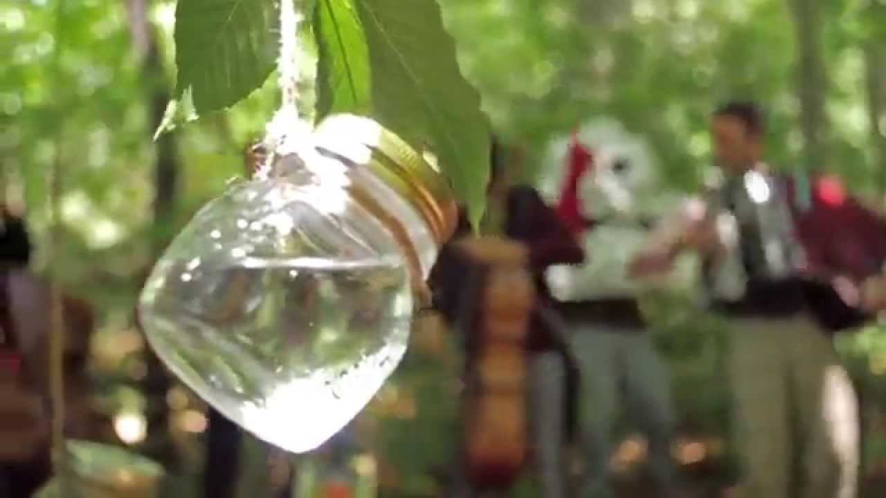 Sirius.B - "The Moonshine Tree" (OFFICIAL VIDEO) - YouTube