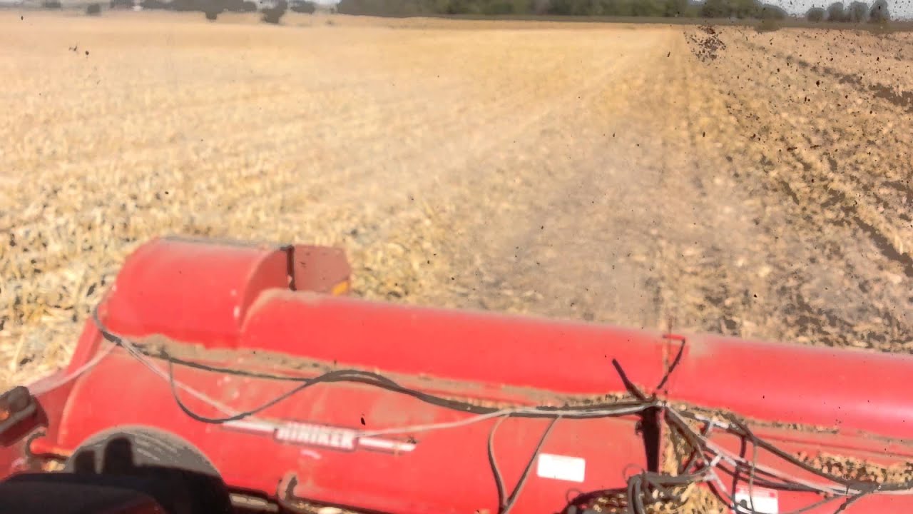 chopping corn stalks with a Hiniker @ Funk Farms Trust - YouTube