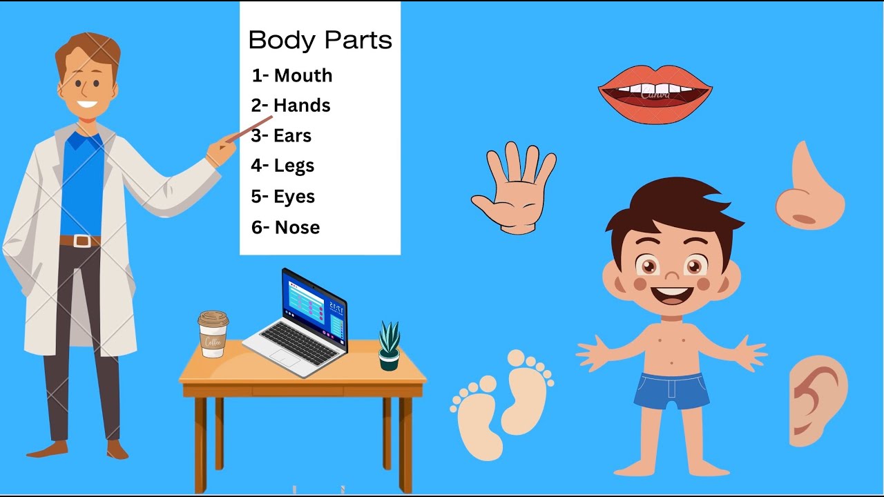 body parts | vocabulary words english learn - YouTube