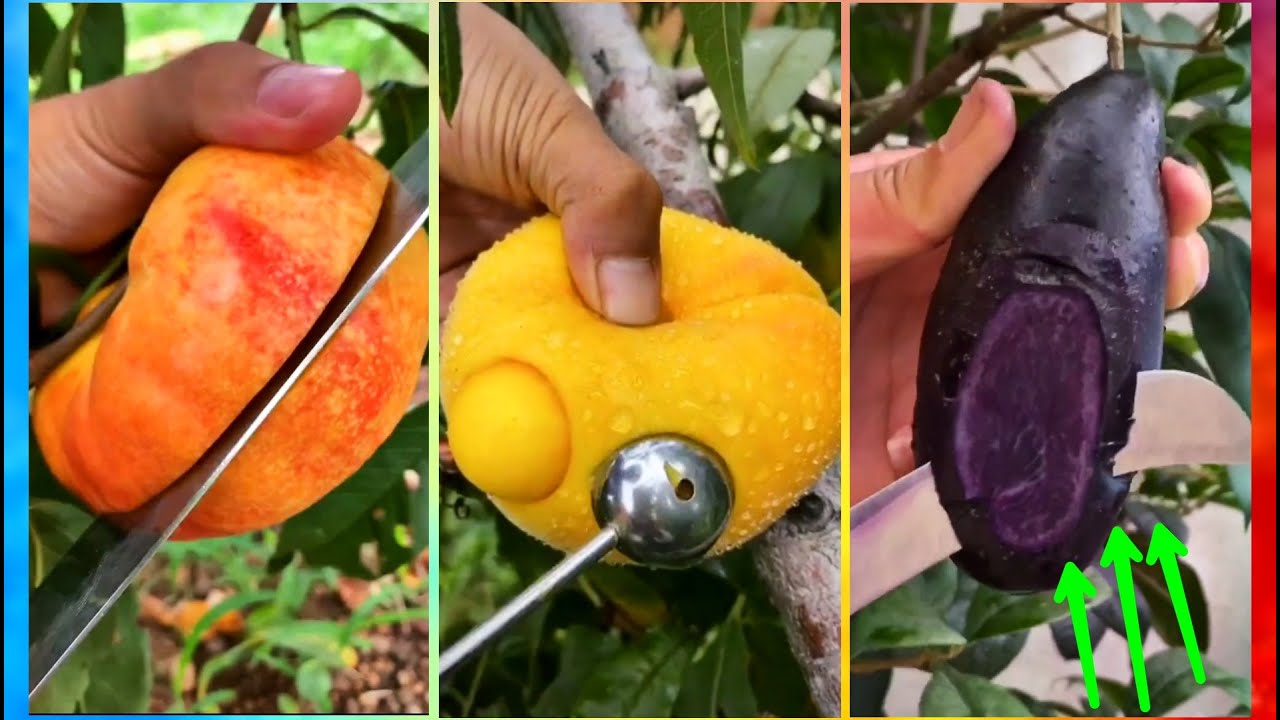 😍Farm Fresh Ninja Fruit Cutting (Oddly Satisfying Fruit Ninja) #02 ...
