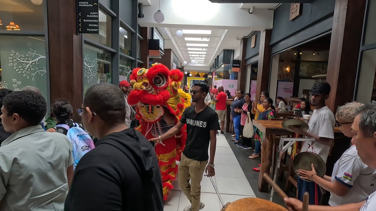 Chinese New Year 2024 Lion Dance in Curepipe City Mauritius 🇲🇺 - YouTube