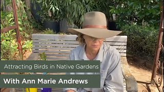 Attracting birds to your garden using native plants