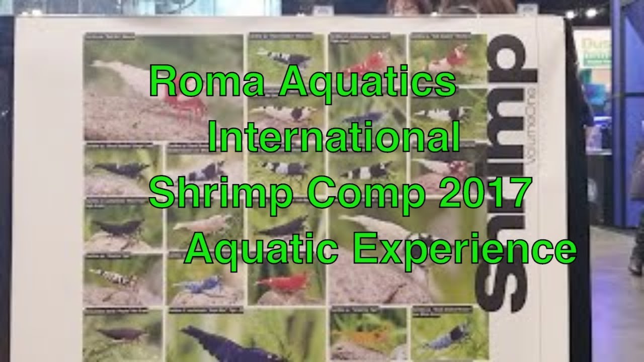 International Shrimp Contestants 2017 - Tank By Tank - Aquatic ...