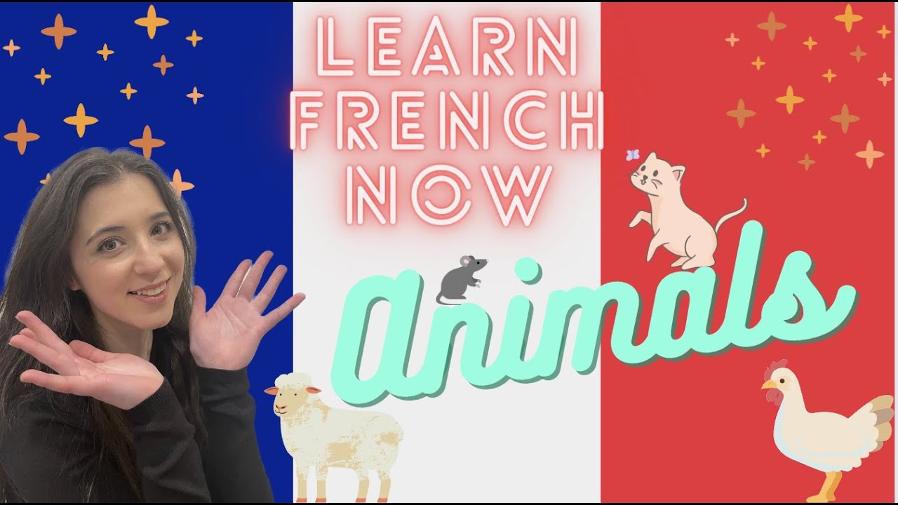 Animals - French vocabulary and sentences - YouTube