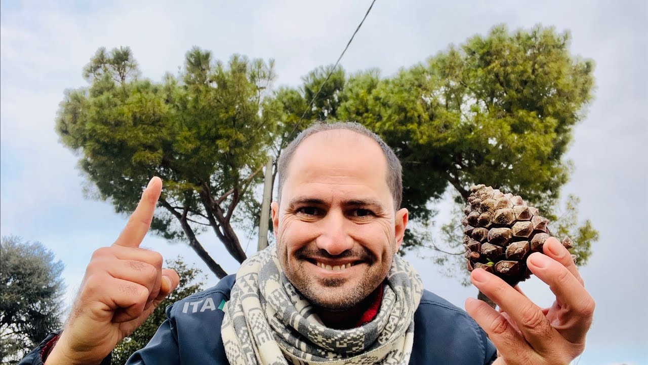 CONHEÇA O PINOLE DIRETO DA ITÁLIA - YouTube