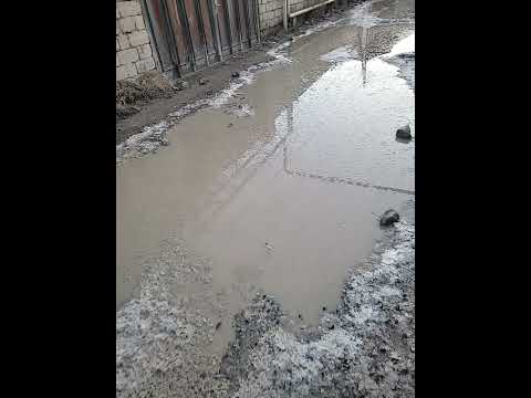 Ar olsun Biləcərinin icra başcısına