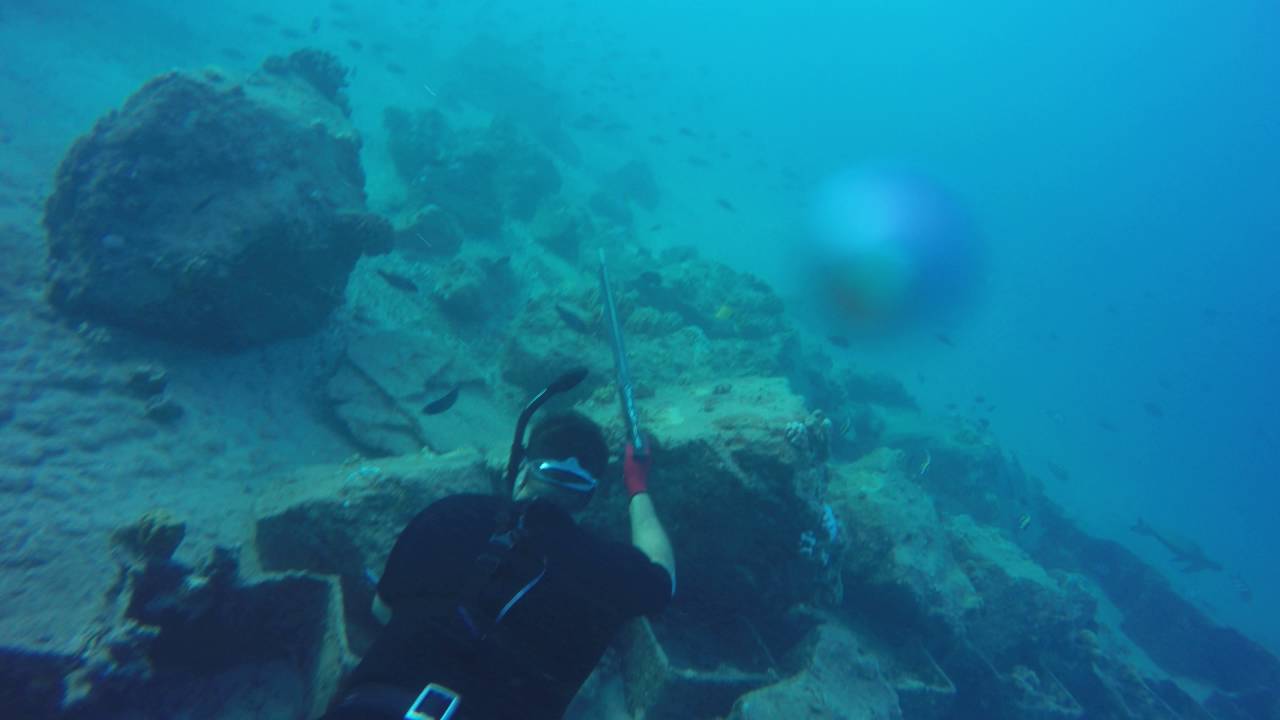 OAHU, HAWAII - Spearfishing Electric Beach Pipes - Oct 2015 - YouTube