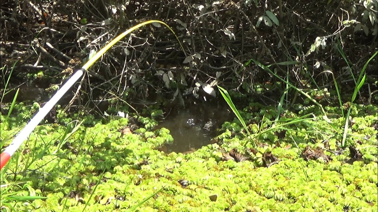 spot mantul pak,,!!belajar mancing pun akan ketagihan kalau jumpa spot ...