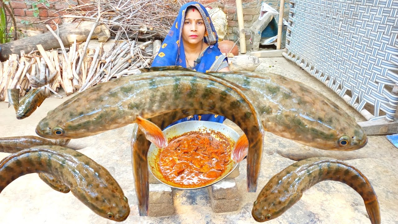 Saur machhali ki curry || Snake head fish coocking village fish fry गरई ...