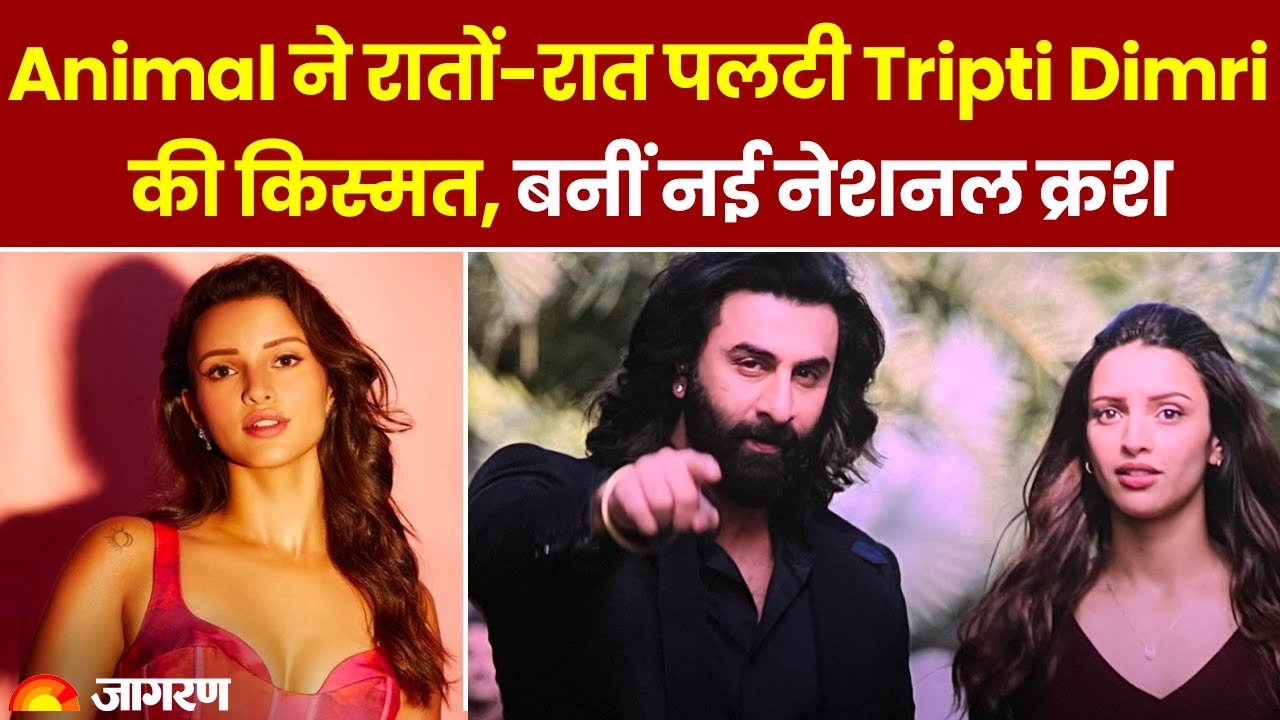 Animal ने रातों-रात पलटी Tripti Dimri की किस्मत, बनीं National Crush ...