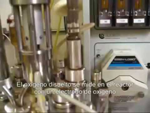 El biorreactor - YouTube