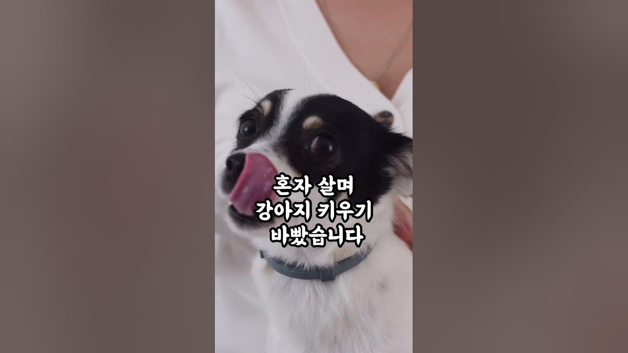 남친에게 혼인관계 증명서를 요구했는데 Youtube