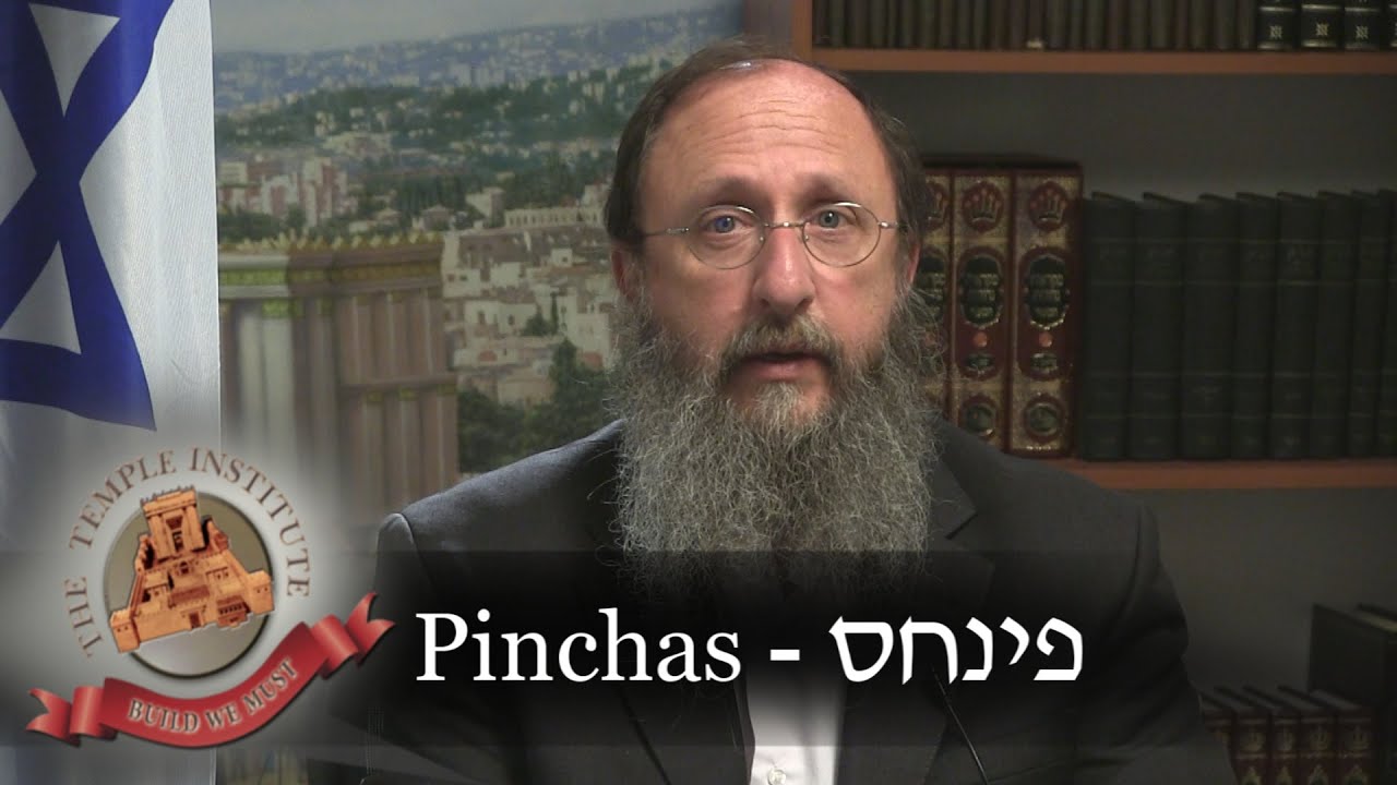 Weekly Torah Portion: Pinchas - YouTube