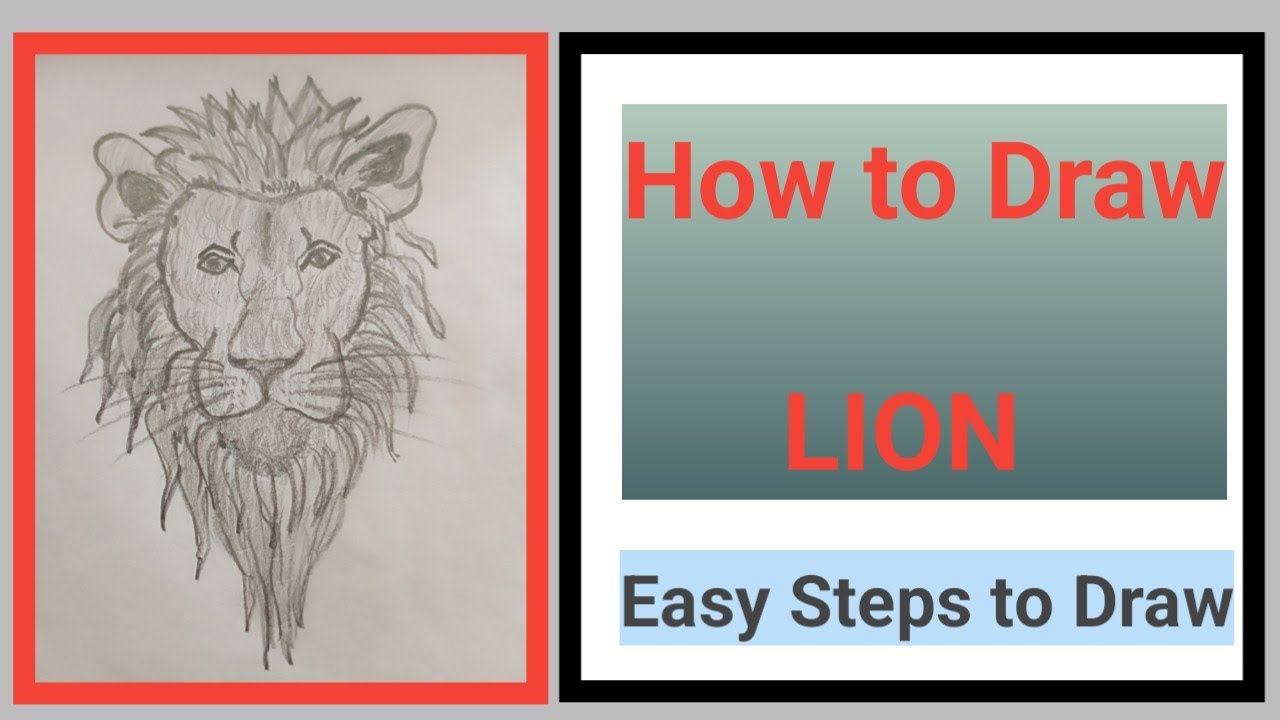How to Draw a Lion with Pencil Very Easy and Step by Step | Easy Step ...
