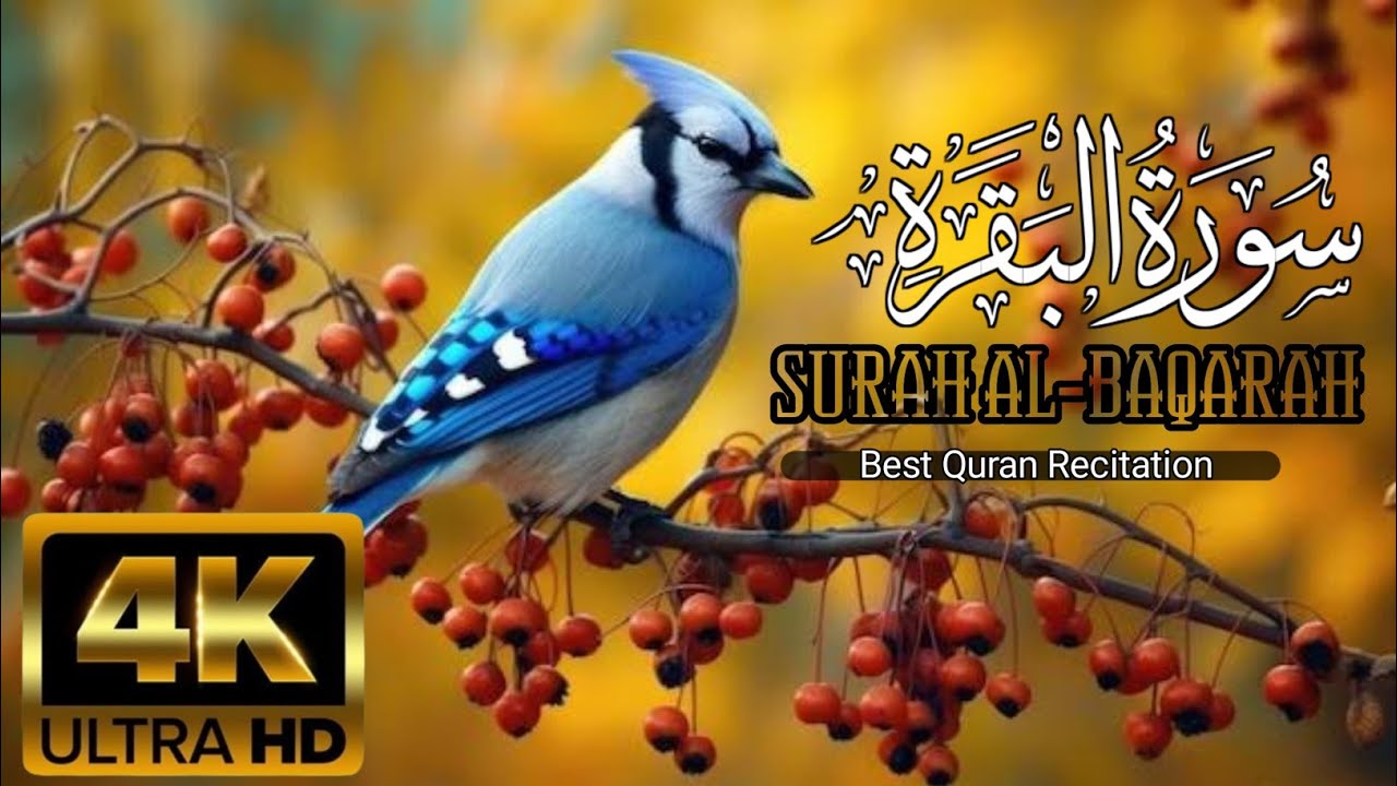 Recitation Of Last Rukoo Surah Al-Baqarah - YouTube