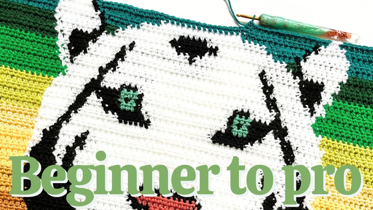 5 Things I Wish I Knew Earlier About Graphgans - YouTube