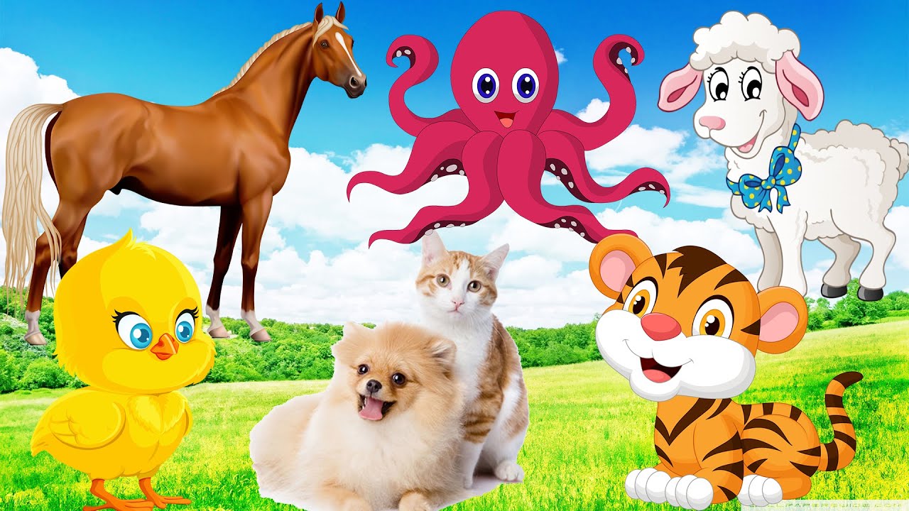 Learn about the animal world, pictures and sounds of animals, cows ...