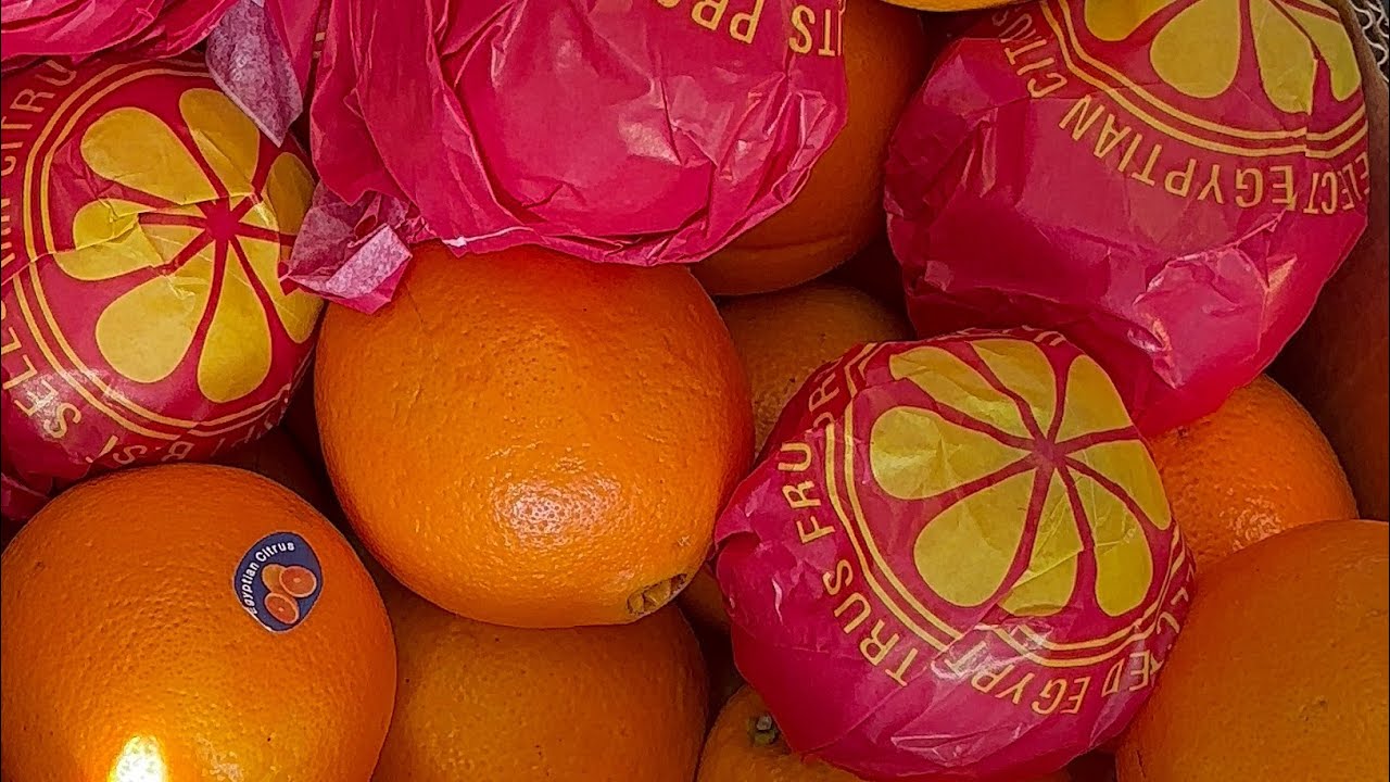 Navel Orange from Egypt Imported by Sohaz Foodstuff Trading - YouTube