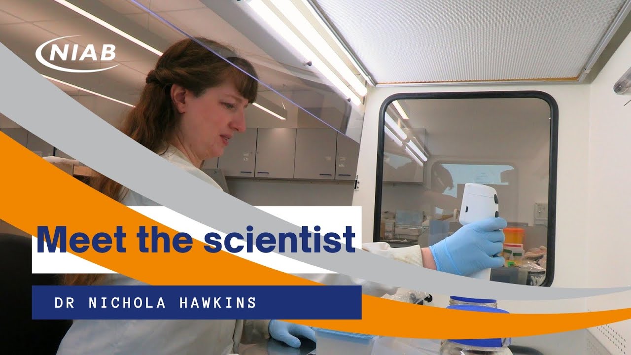 Meet the Scientist: Dr Nichola Hawkins - YouTube