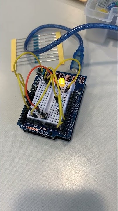 Ava Lea EGR 1301 Arduino Lab 10/24 - YouTube